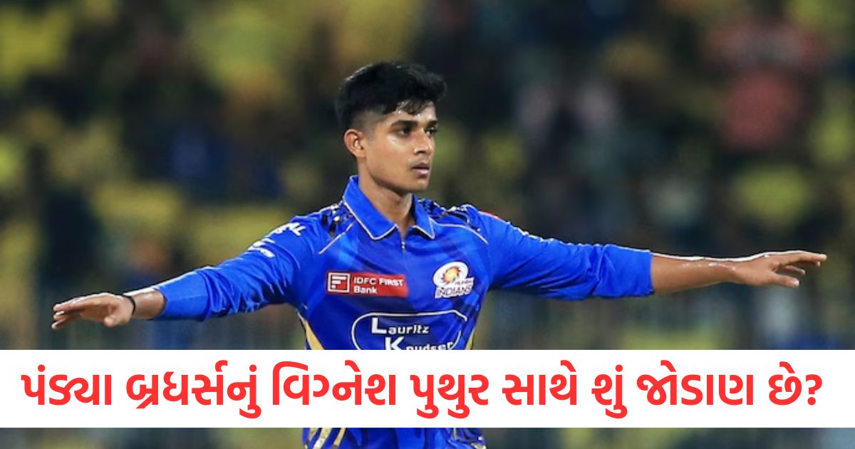 પંડ્યા બ્રધર્સનું વિગ્નેશ પુથુર સાથે શું જોડાણ છે? નીતા અંબાણીએ કેવી ...